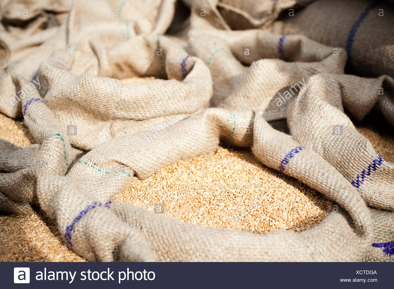 Anaj Mandi Stock Photos & Anaj Mandi Stock Images - Alamy