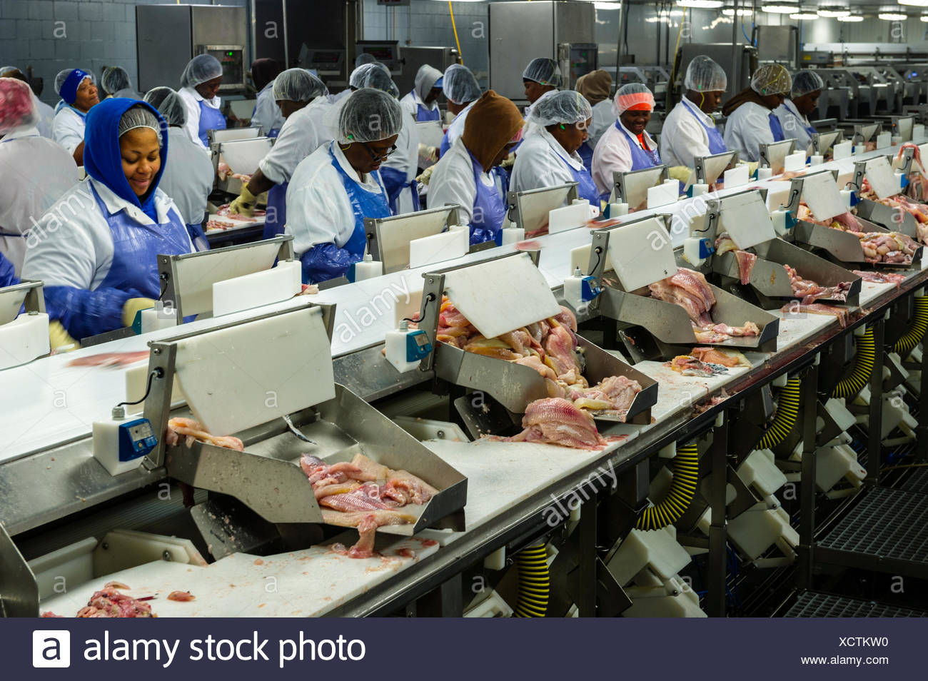 Catfish Farm High Resolution Stock Photography and Images - Alamy