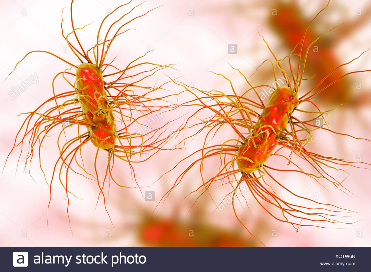 E Coli With Flagella Stock Photos & E Coli With Flagella Stock Images ...
