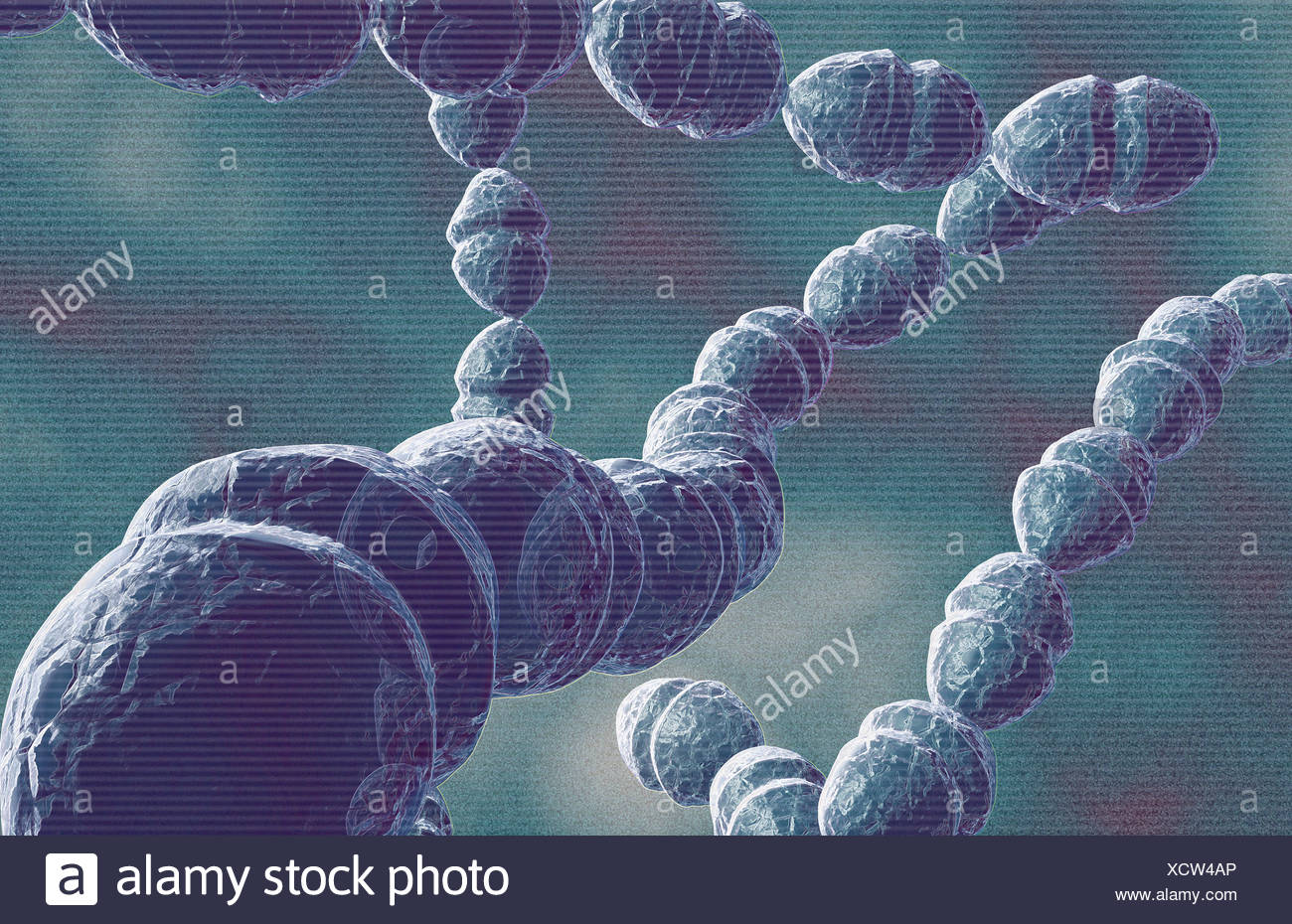 Streptococcus Mutans Stock Photos & Streptococcus Mutans Stock Images ...
