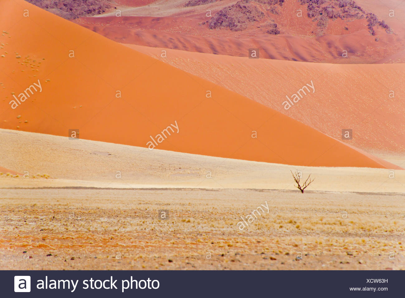 Sehenswertes Sehenswert Sehenswrdigkeiten Sehenswrdigkeit ...