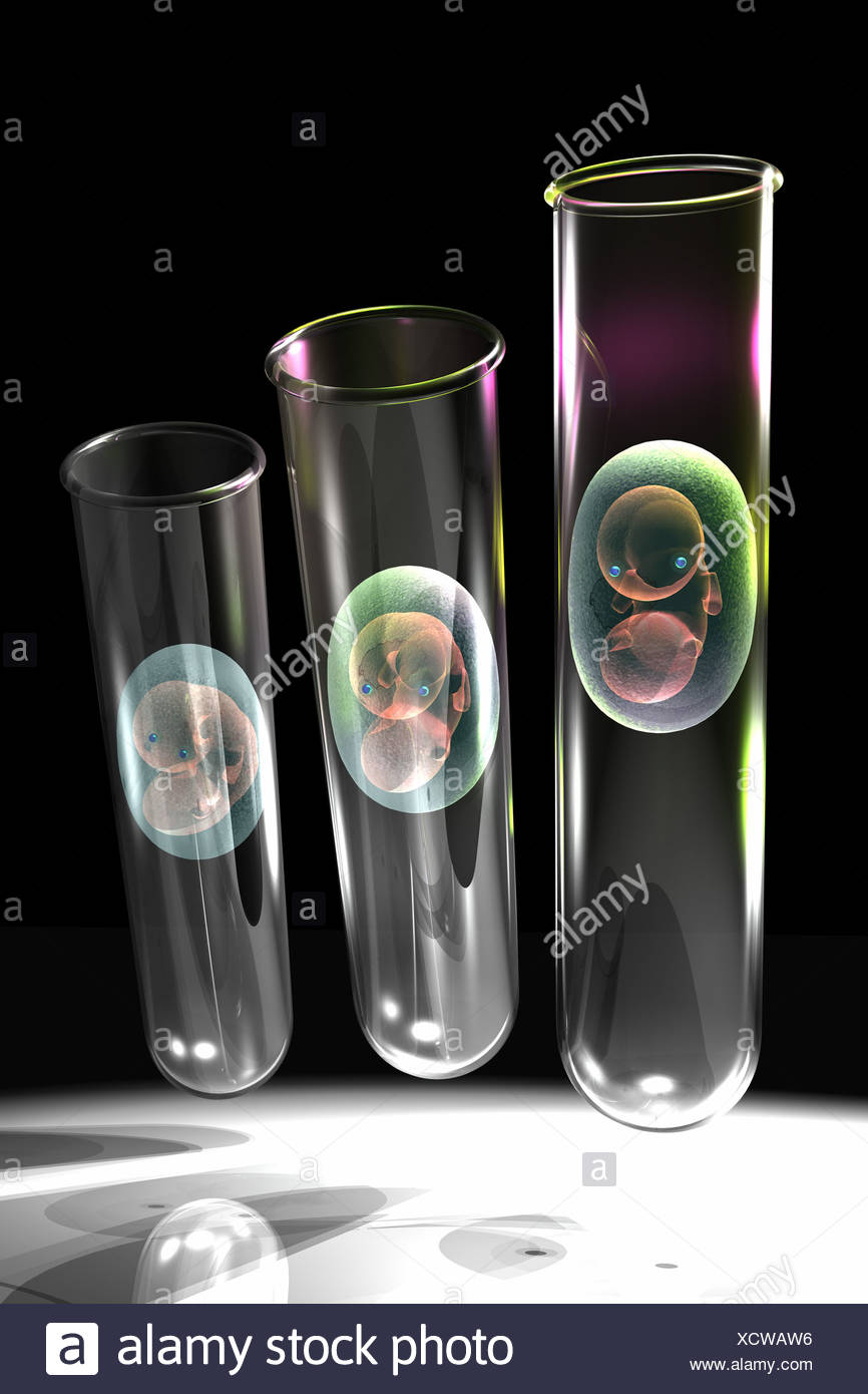 Human Reproductive Cloning High Resolution Stock Photography and Images ...