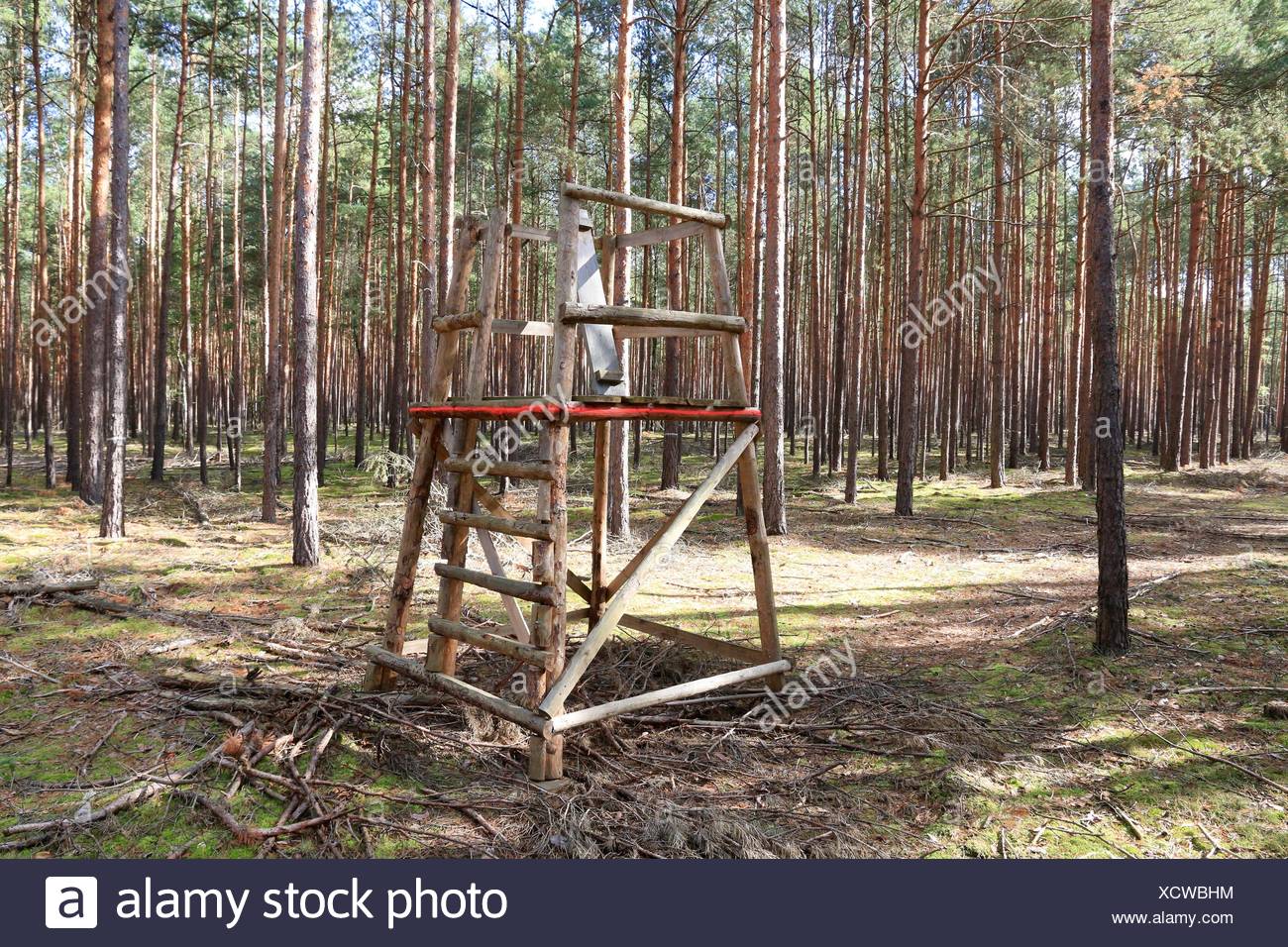 Lookout Tower And Forest Stock Photos & Lookout Tower And Forest Stock ...