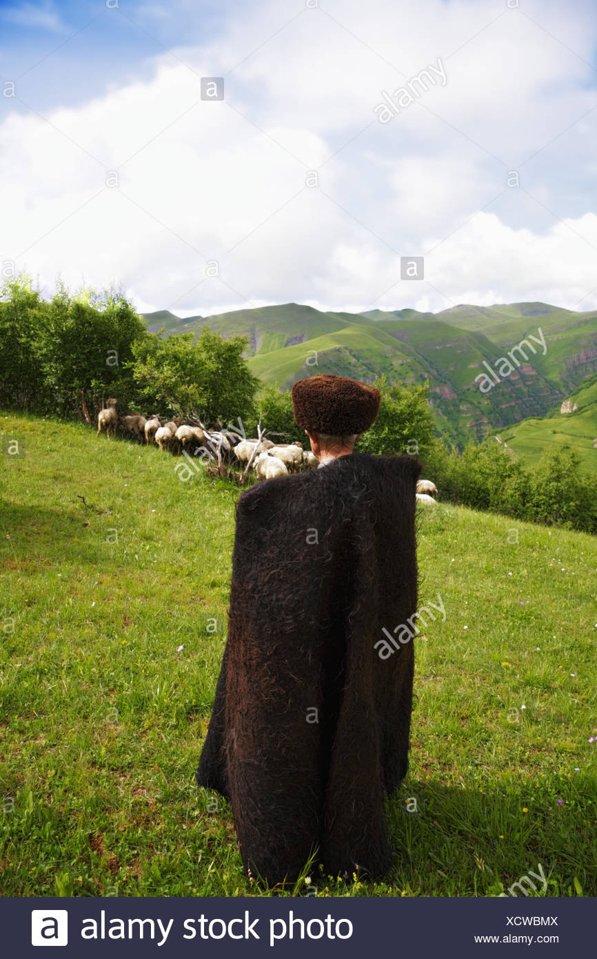 Shepherd Herding Sheep High Resolution Stock Photography and Images - Alamy