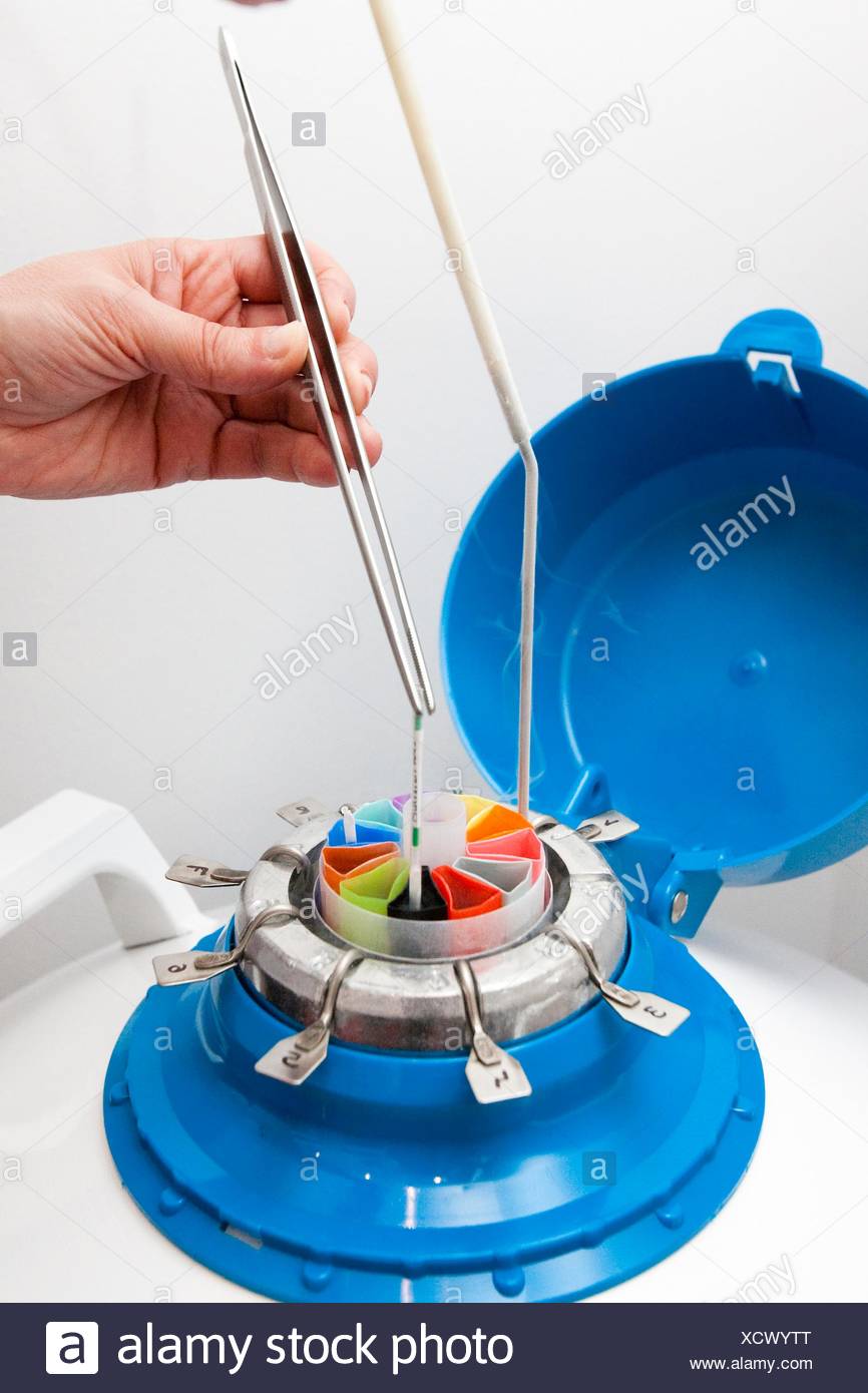 Artificial Insemination Laboratory High Resolution Stock Photography ...
