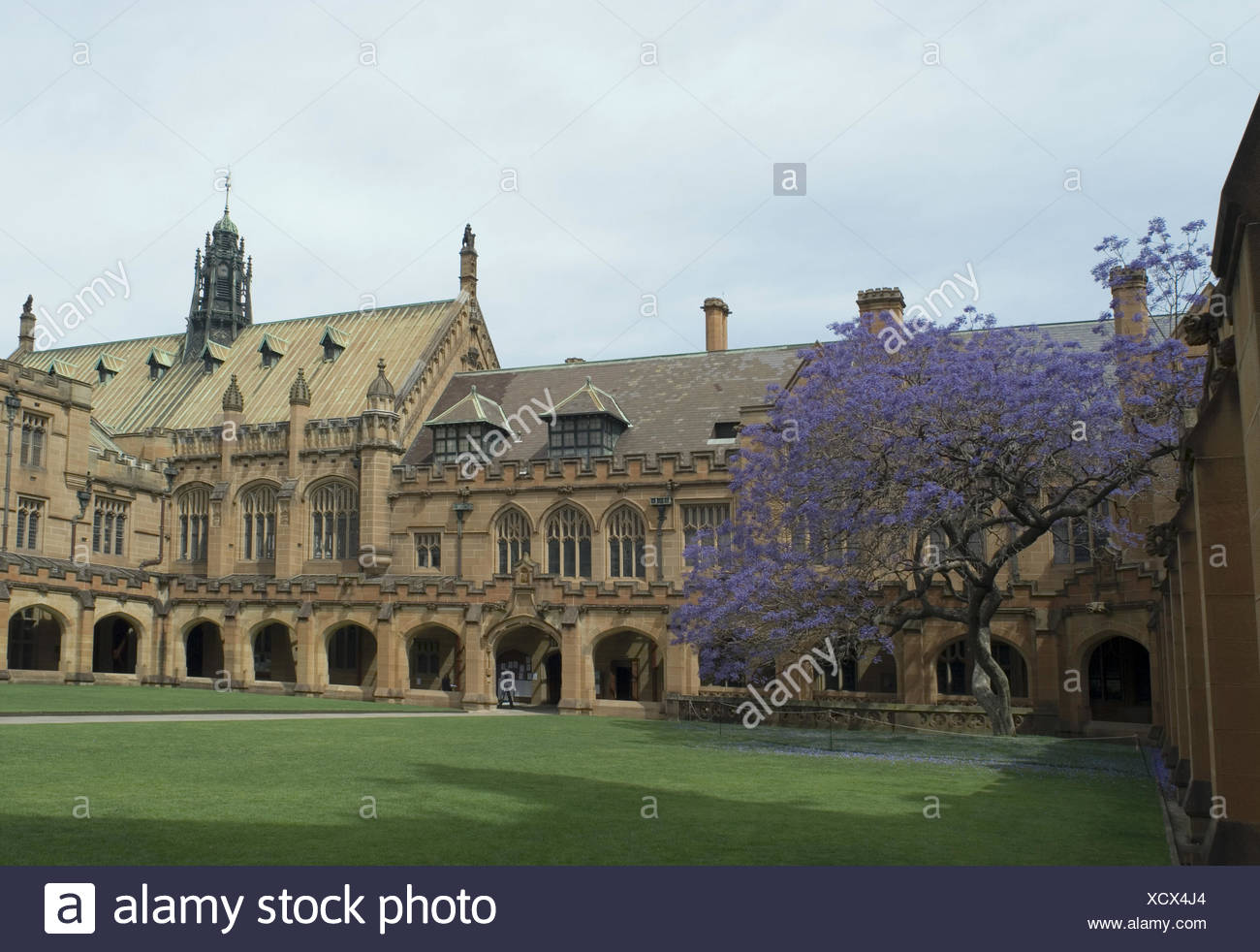 Sydney University Quadrangle Australia High Resolution Stock ...