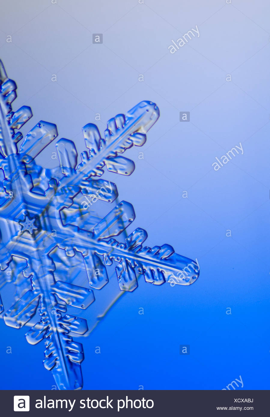 Snowflake Microscope Stock Photos & Snowflake Microscope Stock Images ...
