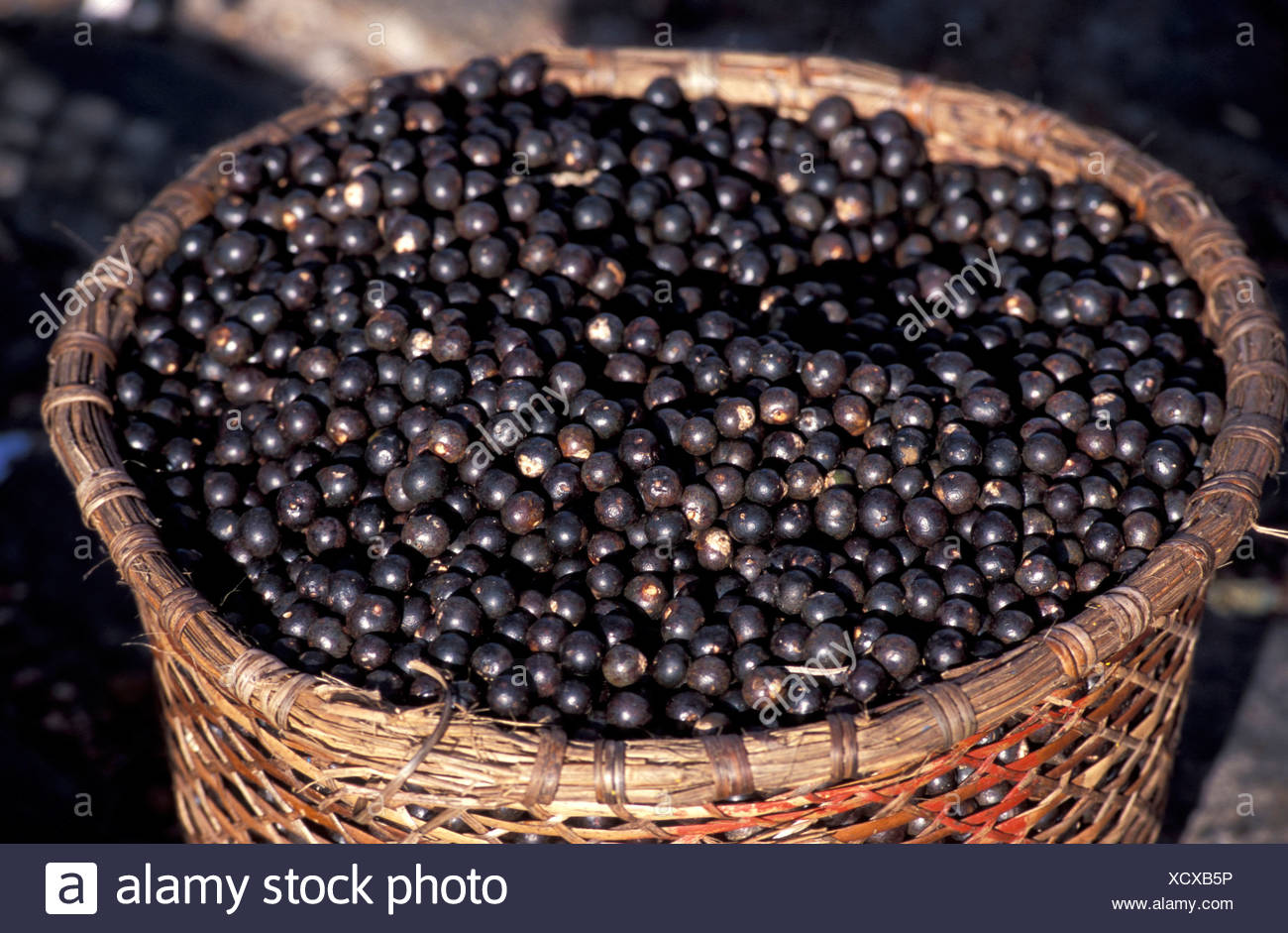 Acai Belem High Resolution Stock Photography and Images - Alamy