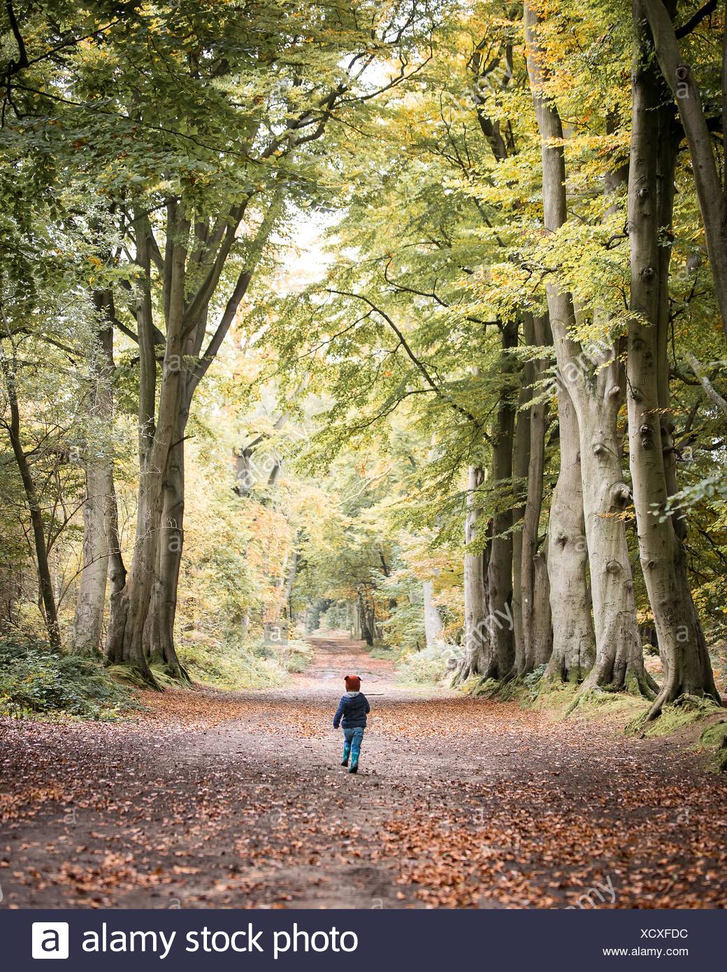 Boy Child Walk Walking High Resolution Stock Photography and Images - Alamy