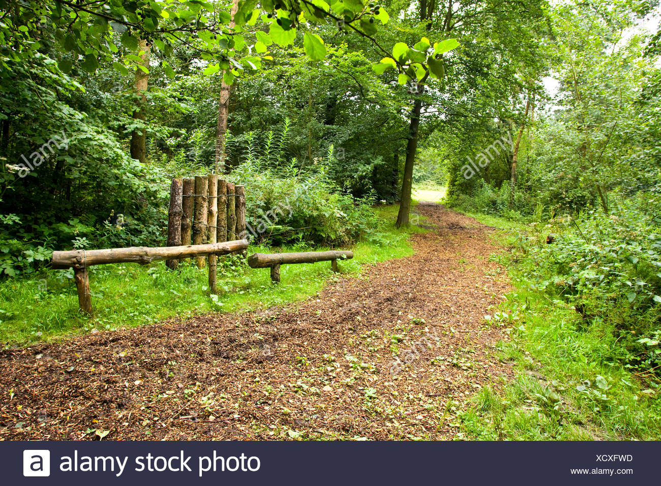 Woodchip Path Stock Photos & Woodchip Path Stock Images - Alamy