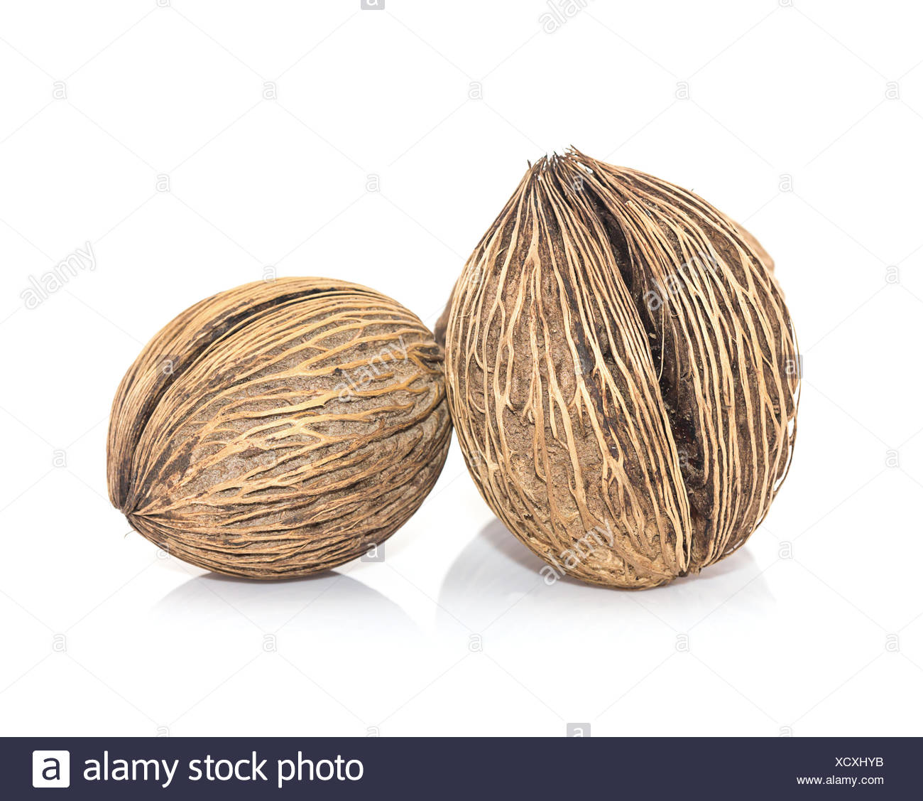 Arali High Resolution Stock Photography and Images - Alamy