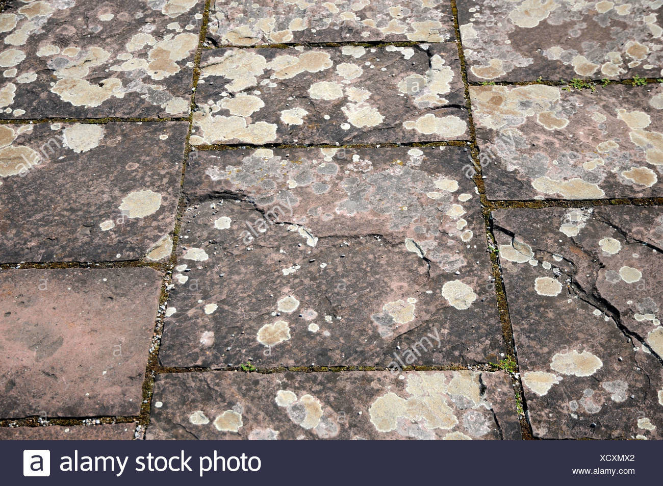 Stein Pilz High Resolution Stock Photography and Images - Alamy