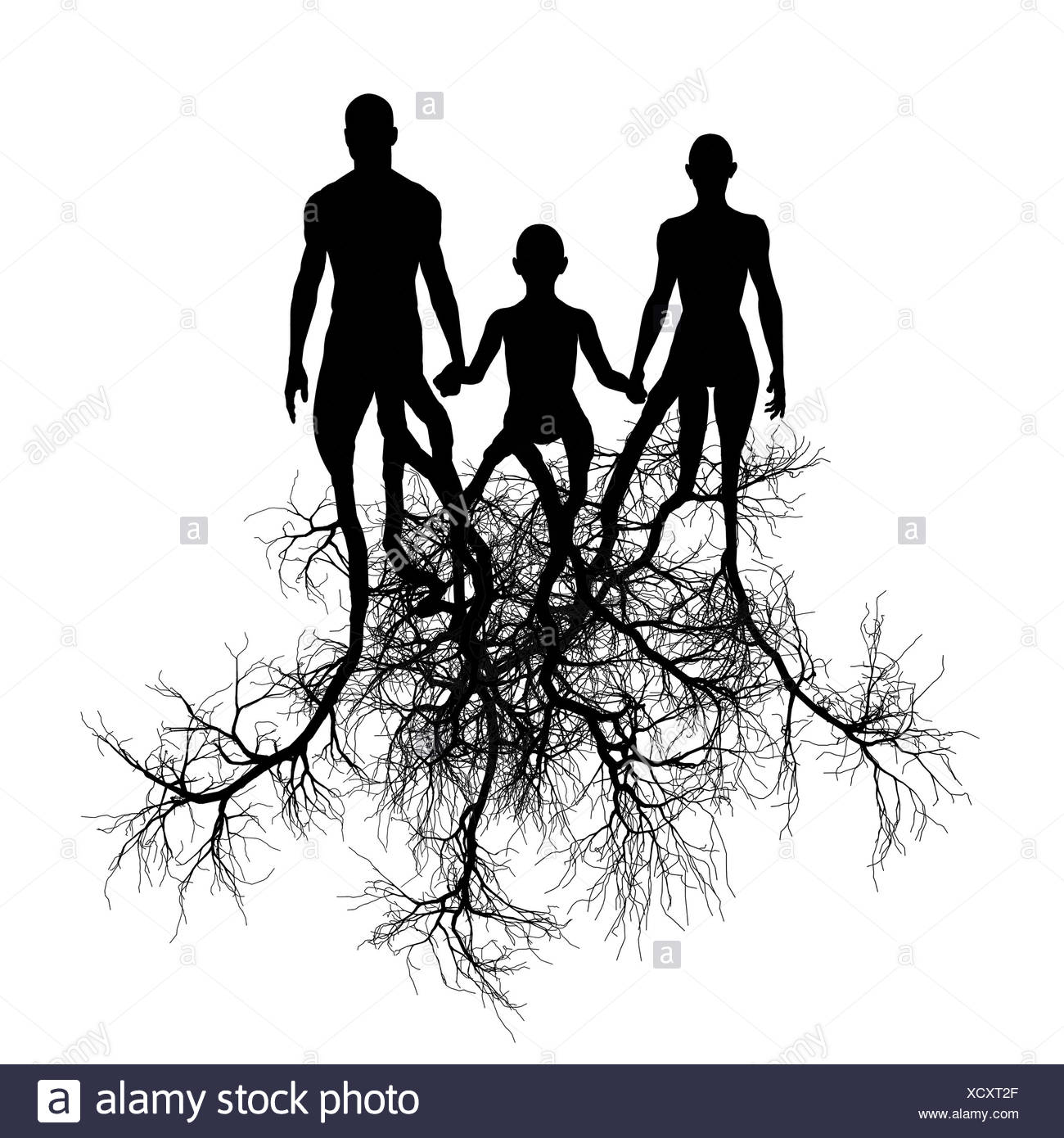 Family Tree Genealogy Illustration Stock Photos & Family Tree Genealogy ...
