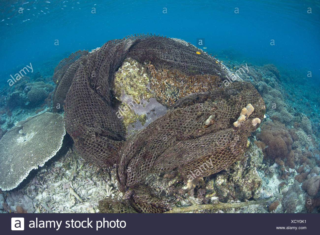 Trawl Net Underwater High Resolution Stock Photography and Images - Alamy