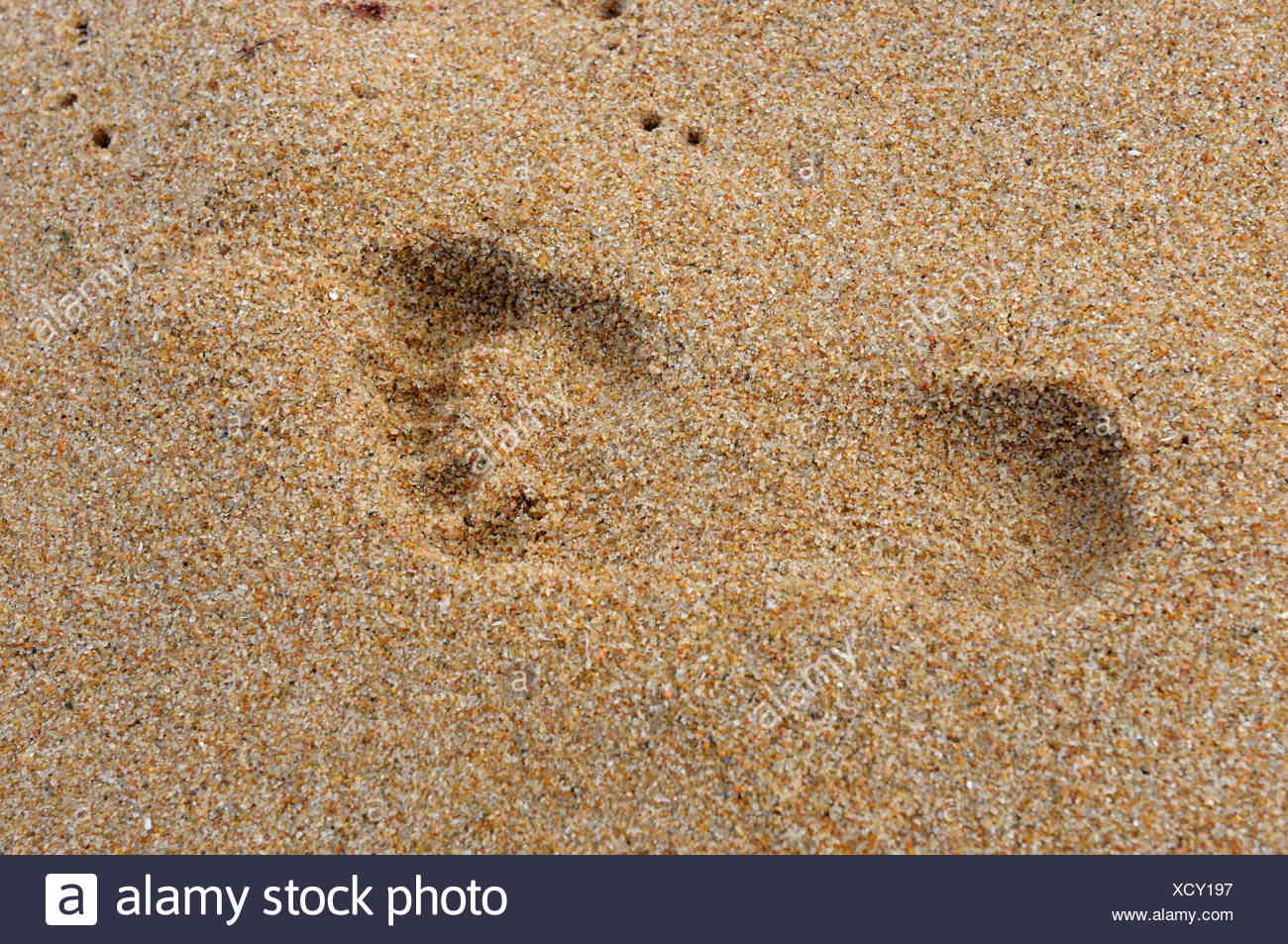 Child Footprint High Resolution Stock Photography and Images - Alamy