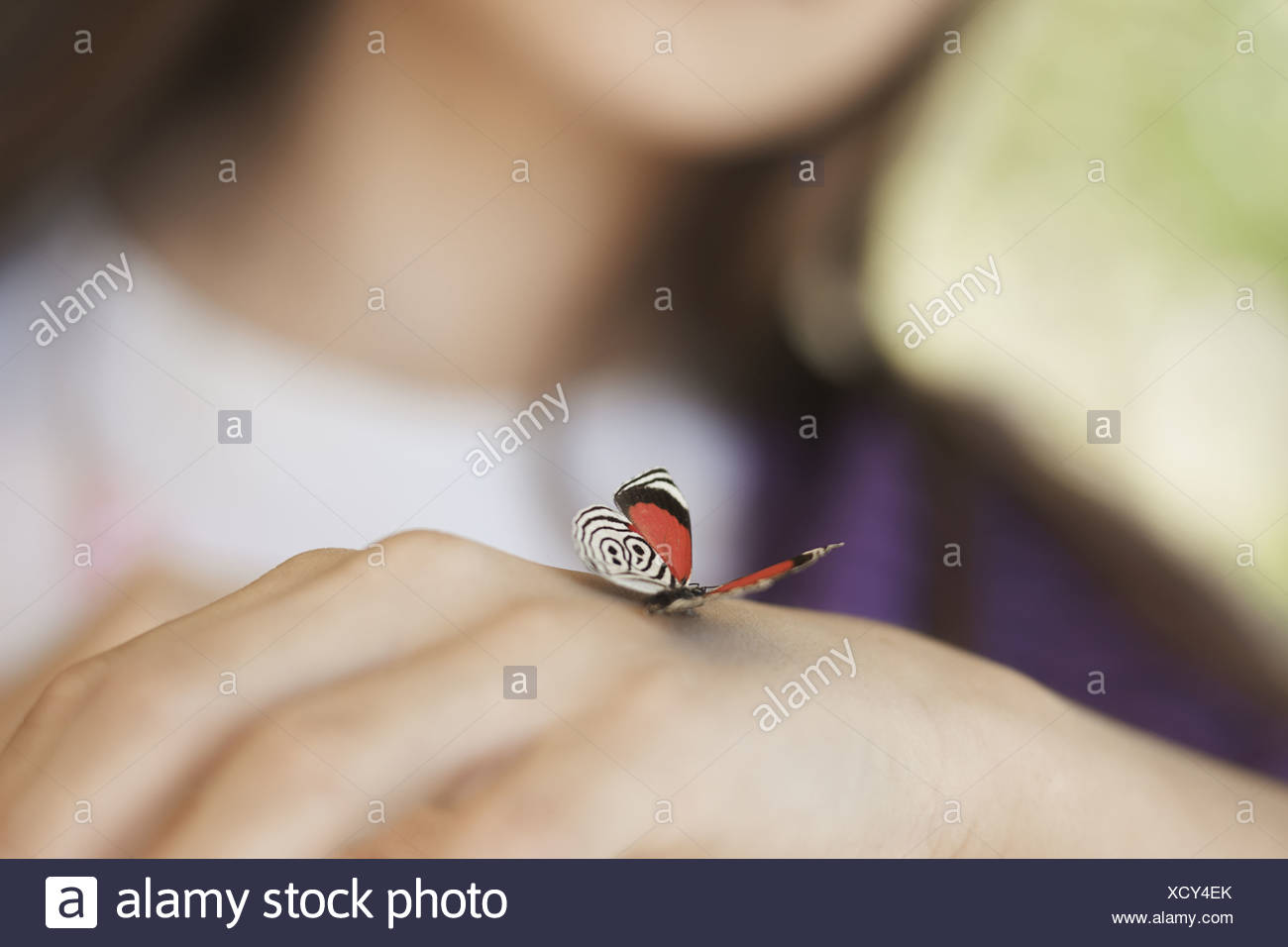 Butterfly Landed On Hand High Resolution Stock Photography and Images ...
