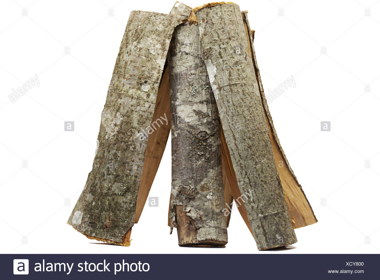 Woodpile In The Woods High Resolution Stock Photography and Images - Alamy