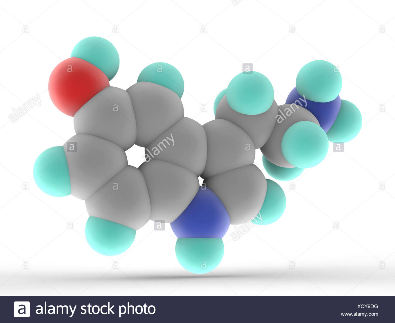 Monoamine Neurotransmitter High Resolution Stock Photography and Images ...