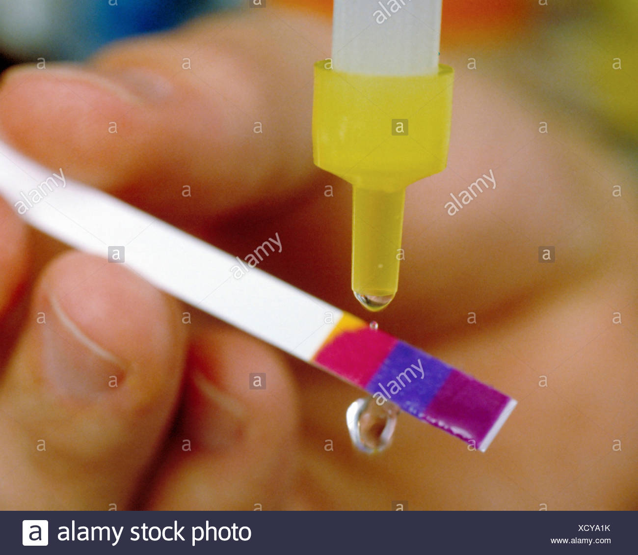 Litmus Solution High Resolution Stock Photography and Images - Alamy