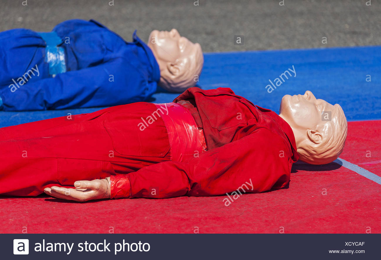 Dummys High Resolution Stock Photography and Images - Alamy