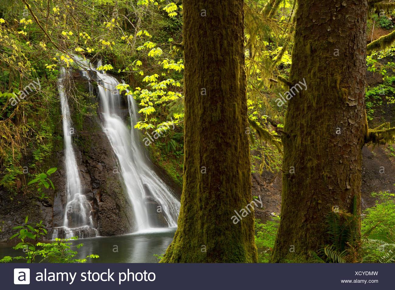 Oregon Hatchery High Resolution Stock Photography and Images - Alamy
