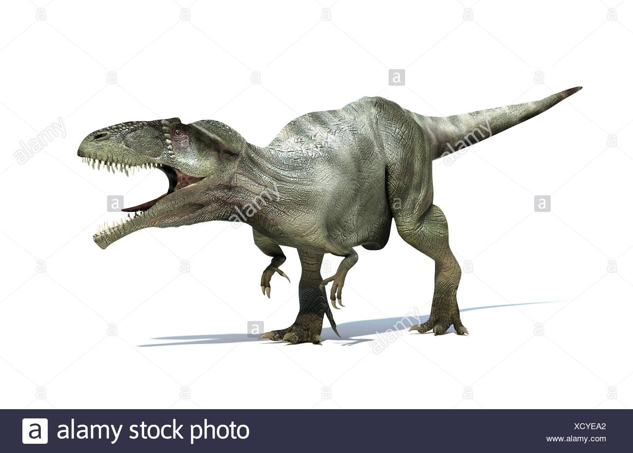 Giganotosaurus Stock Photos & Giganotosaurus Stock Images - Alamy