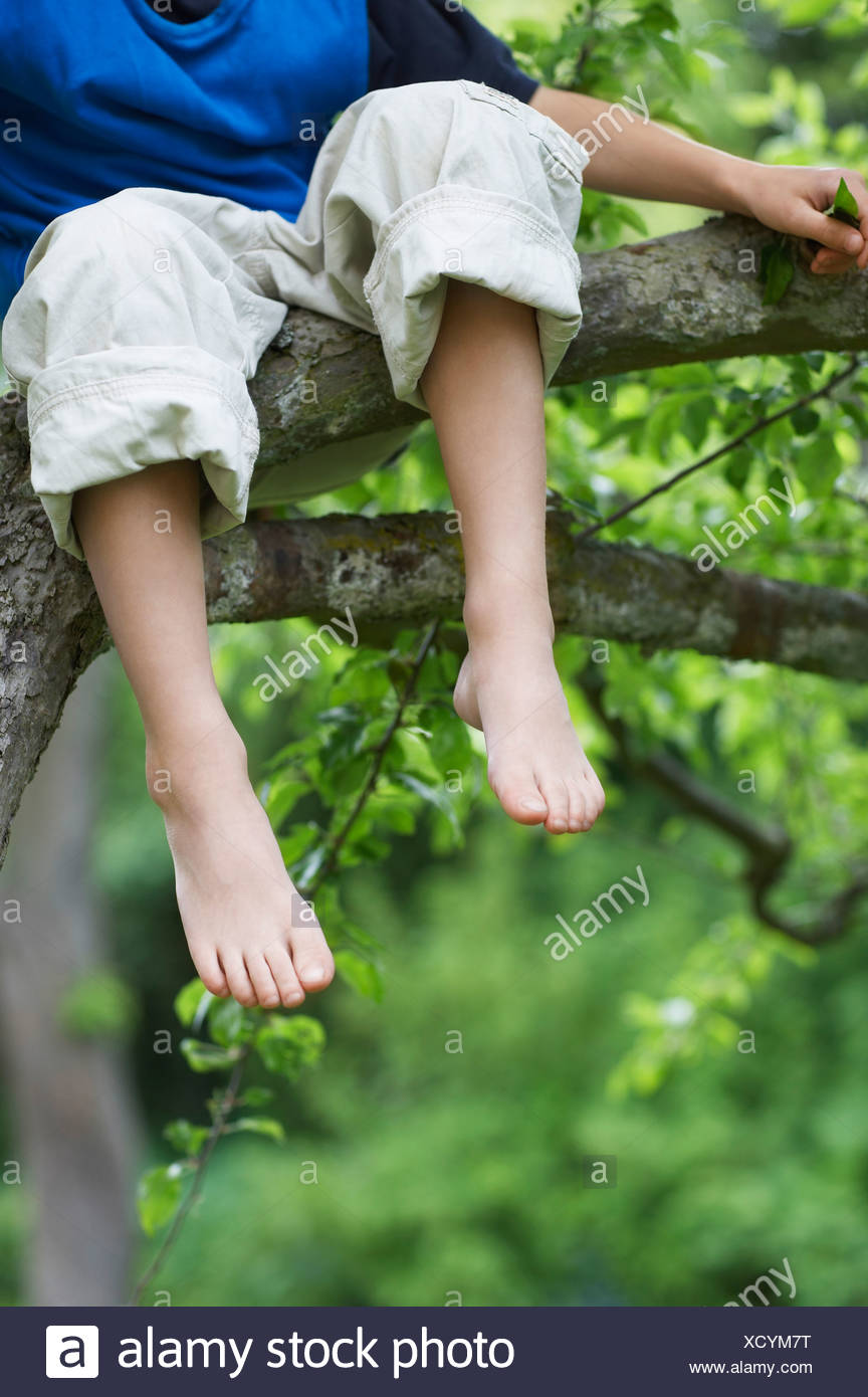 Children Climbing Tree Feet High Resolution Stock Photography and ...