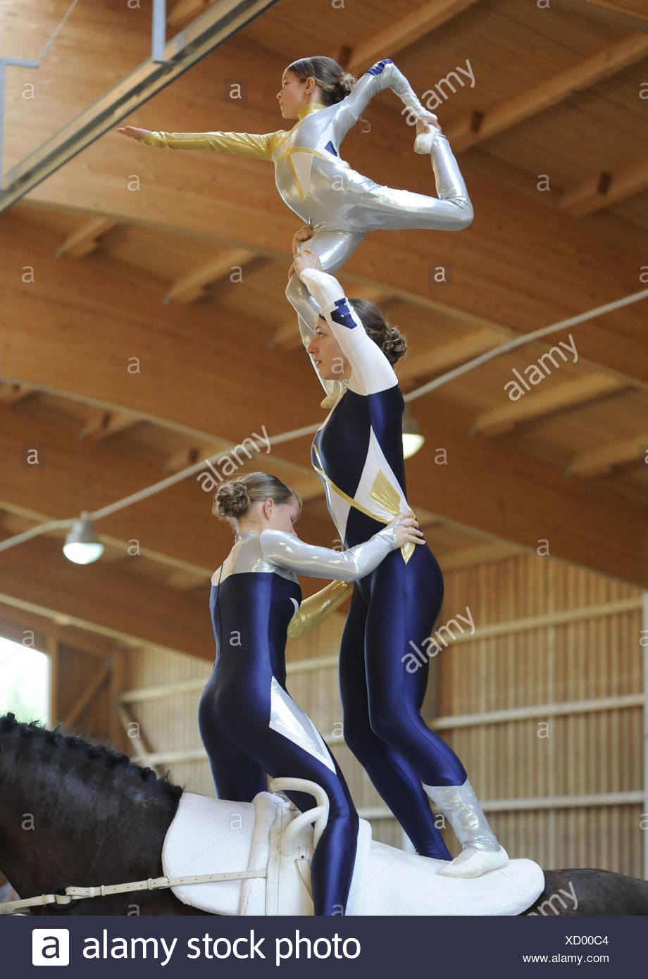 Three Horse Team High Resolution Stock Photography and Images - Alamy