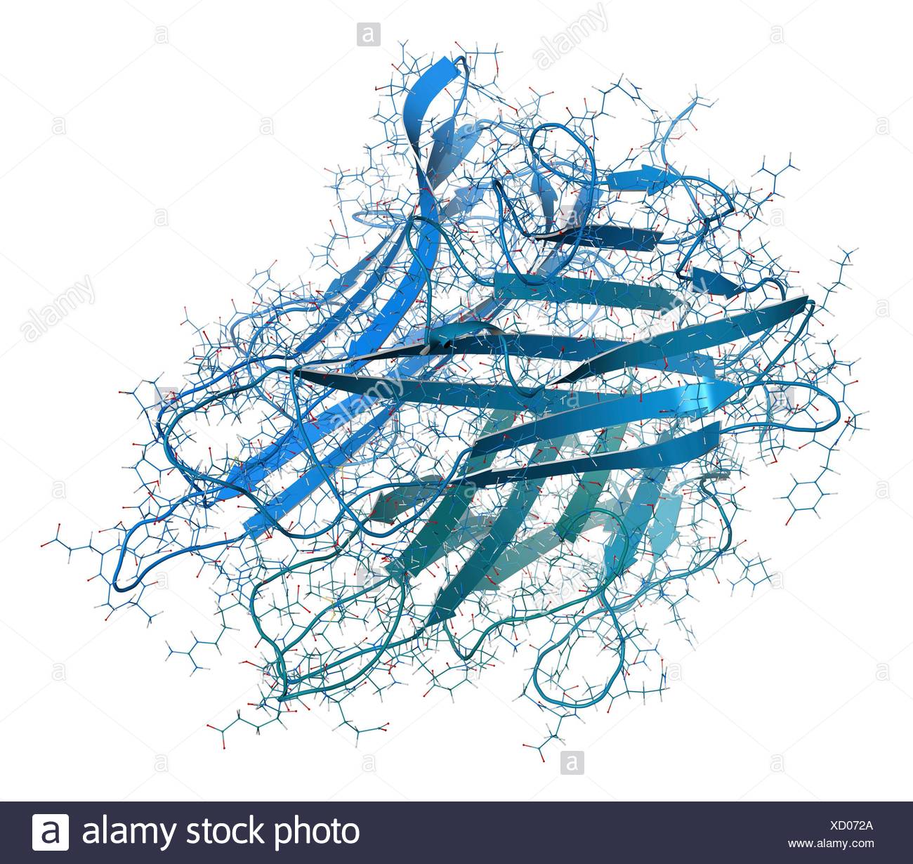 Necrosis Factor Alpha High Resolution Stock Photography and Images - Alamy