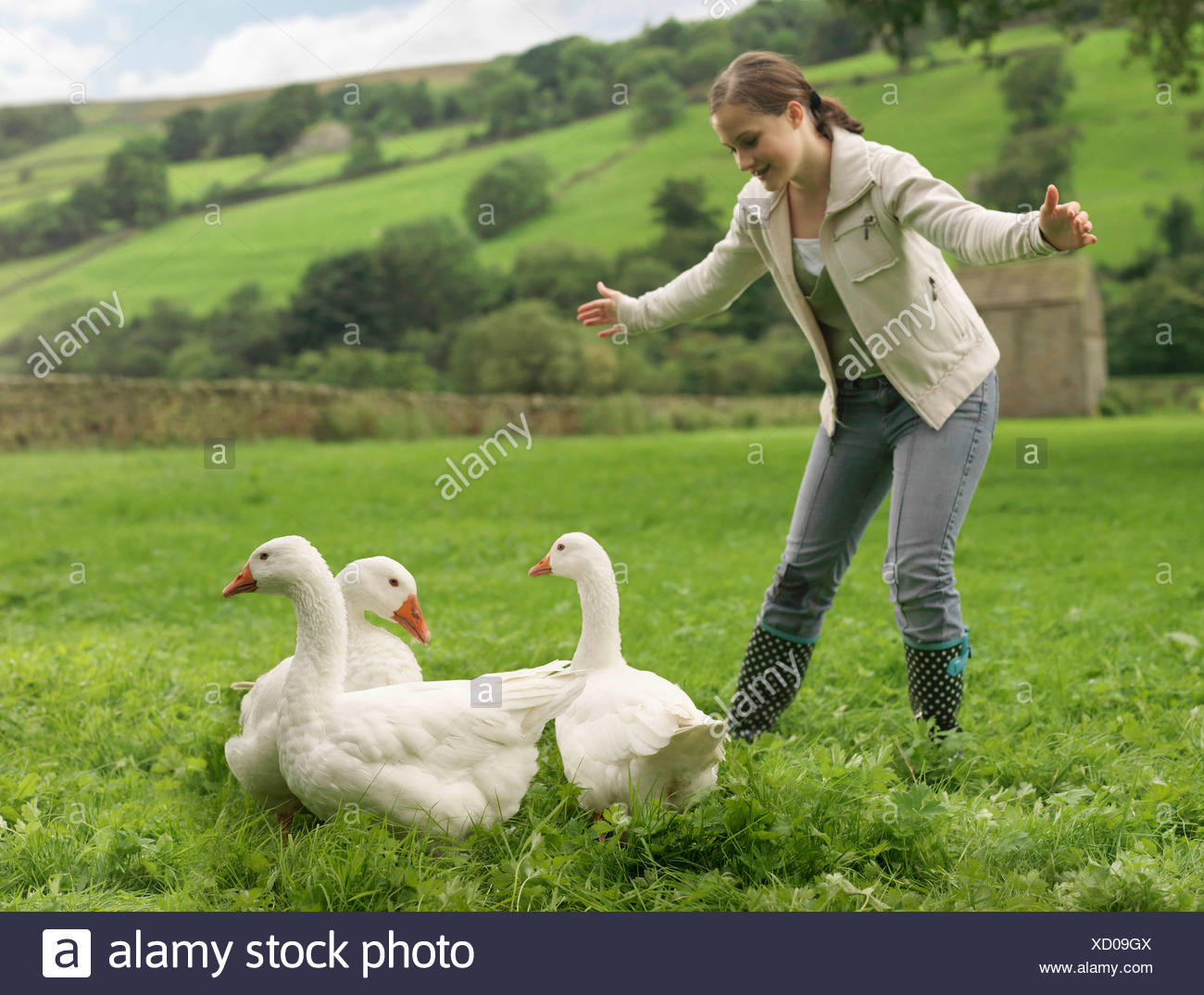 Child And Goose High Resolution Stock Photography and Images - Alamy