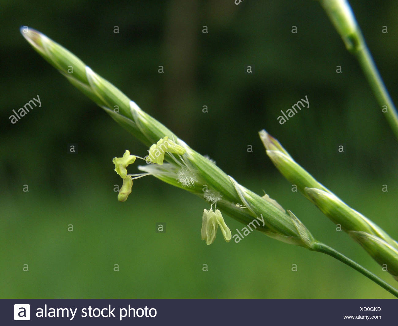 Floating A Jagel High Resolution Stock Photography and Images - Alamy