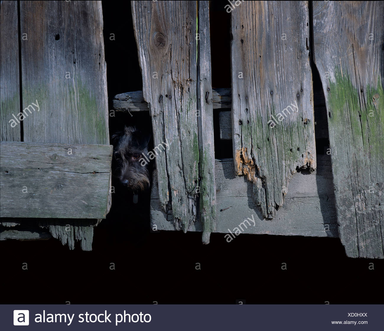 Behind The Door High Resolution Stock Photography and Images - Alamy