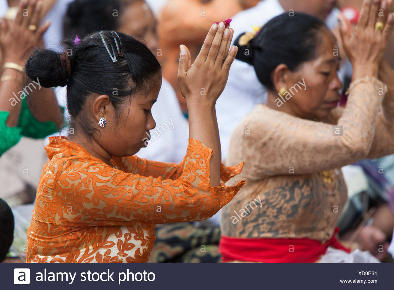 Batukaru Stock Photos & Batukaru Stock Images - Alamy