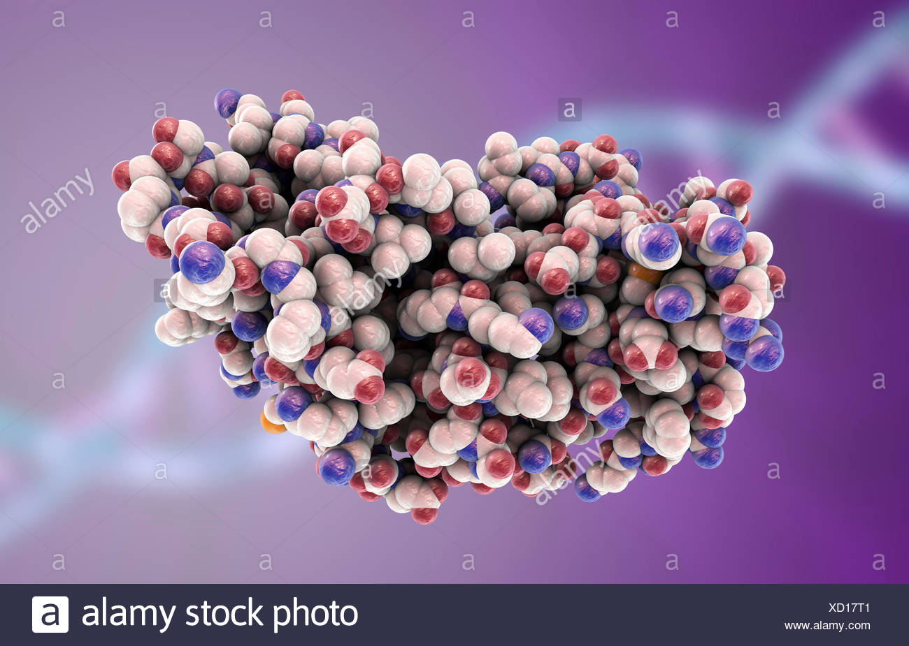 Molecular Model Interferon Gamma High Resolution Stock Photography and ...
