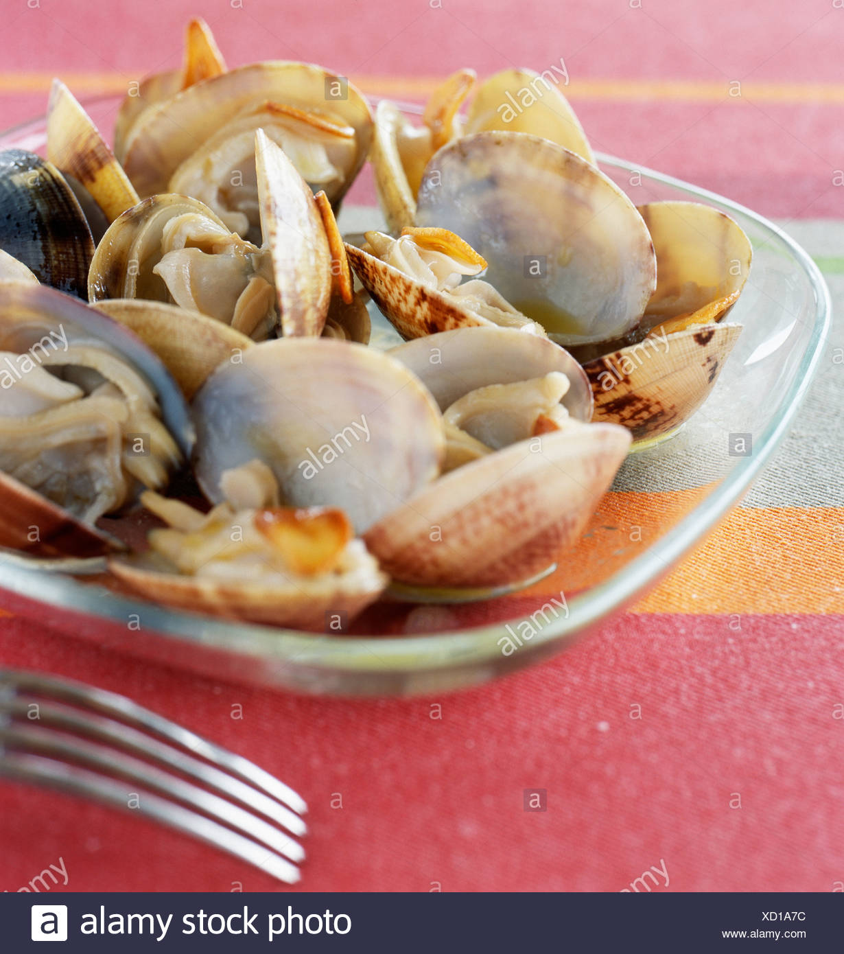 Carpet Shell Clams High Resolution Stock Photography and Images - Alamy