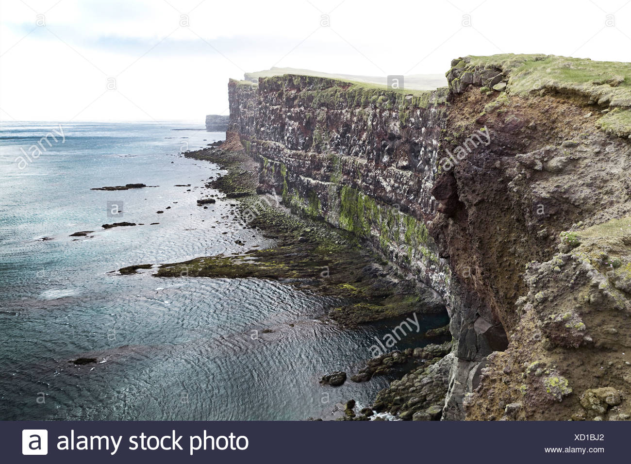 Famous Bird High Resolution Stock Photography and Images - Alamy