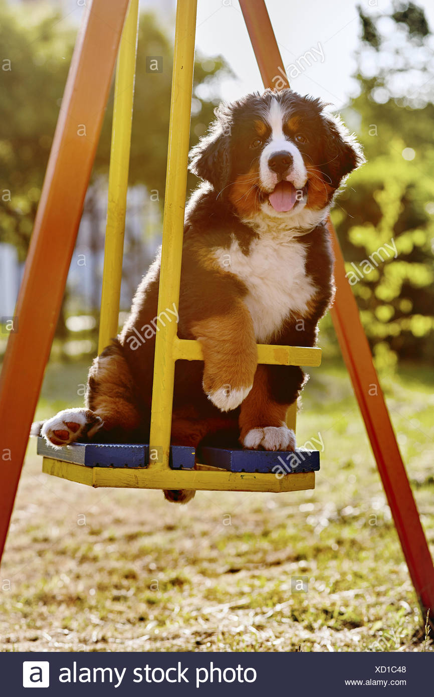Teeter High Resolution Stock Photography and Images - Alamy