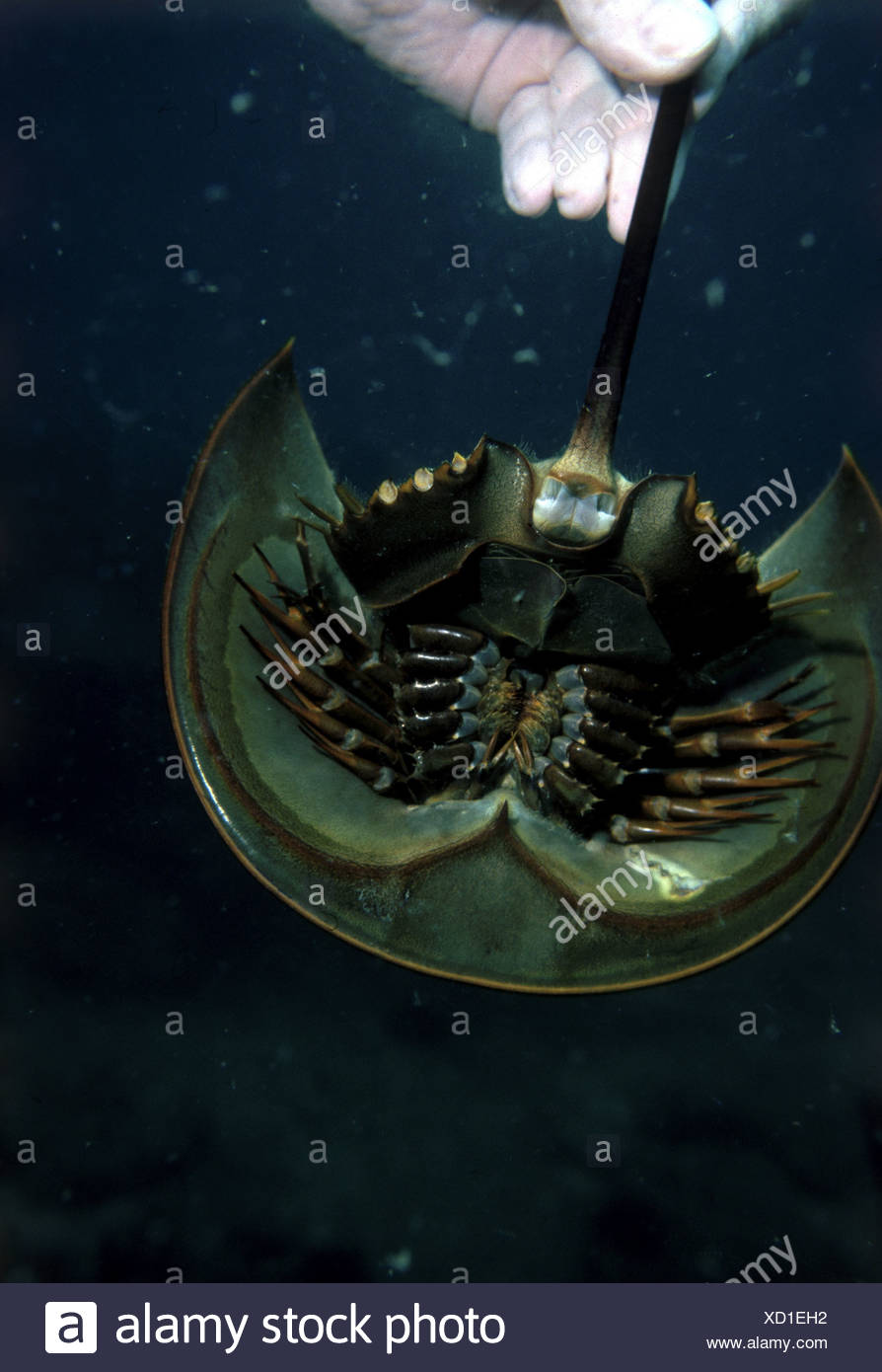 Shoe Distribution High Resolution Stock Photography and Images - Alamy