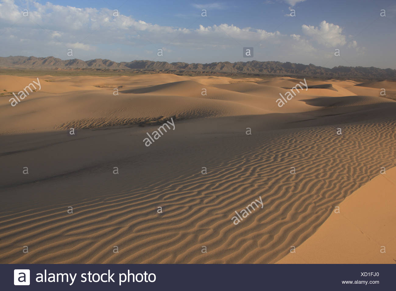 Gobi Desert Cold High Resolution Stock Photography and Images - Alamy