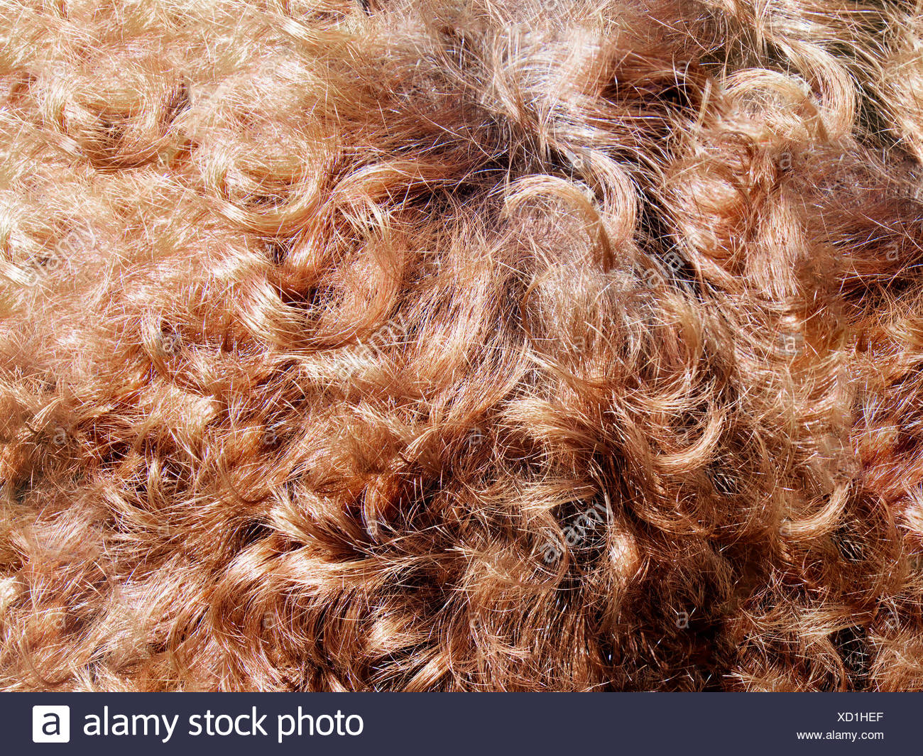 Scalp Lock Stock Photos & Scalp Lock Stock Images - Alamy