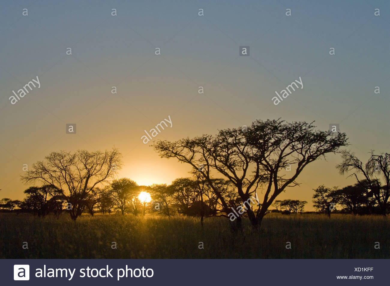 Scrubland High Resolution Stock Photography and Images - Alamy