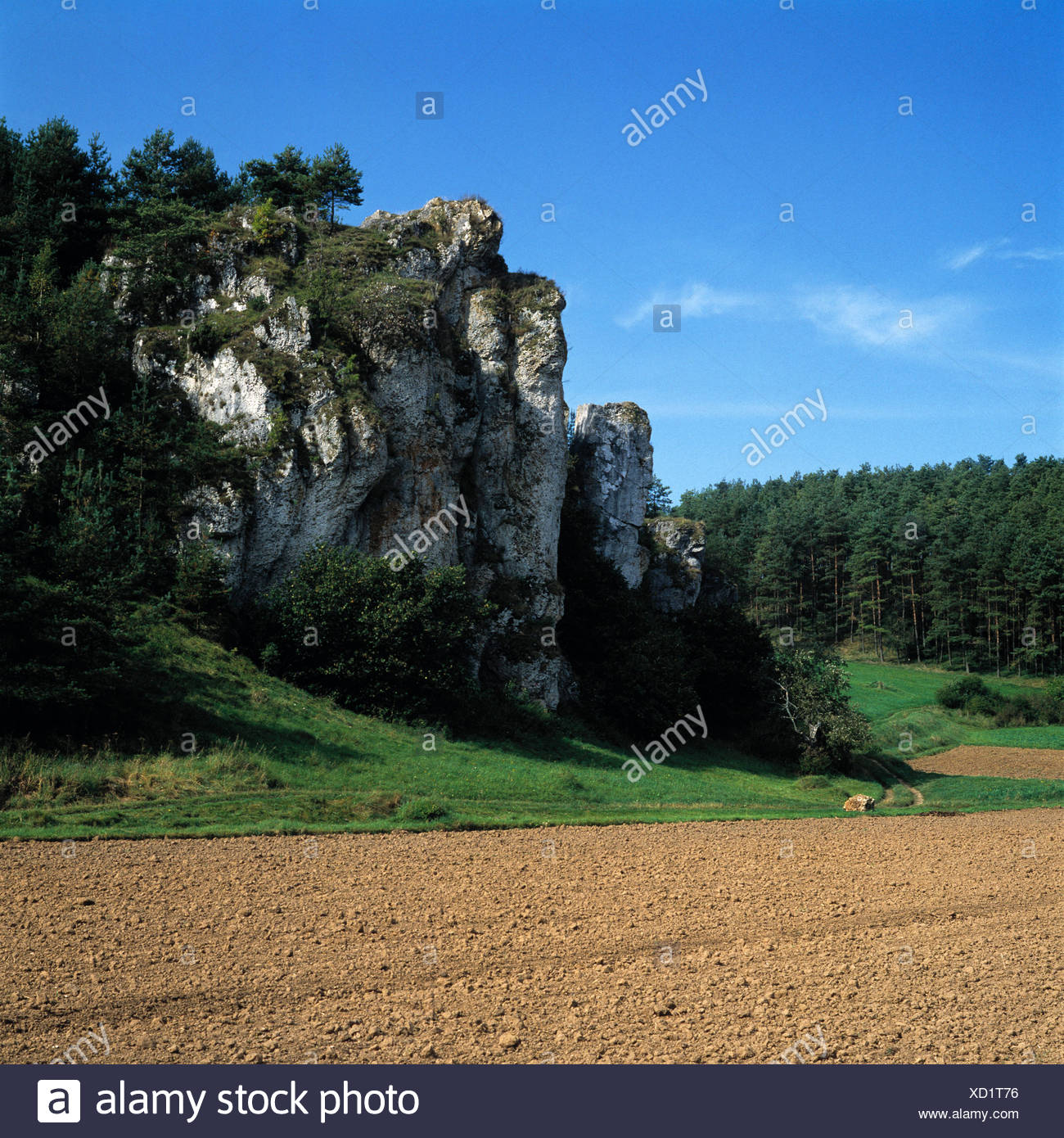 Wiesent High Resolution Stock Photography and Images - Alamy