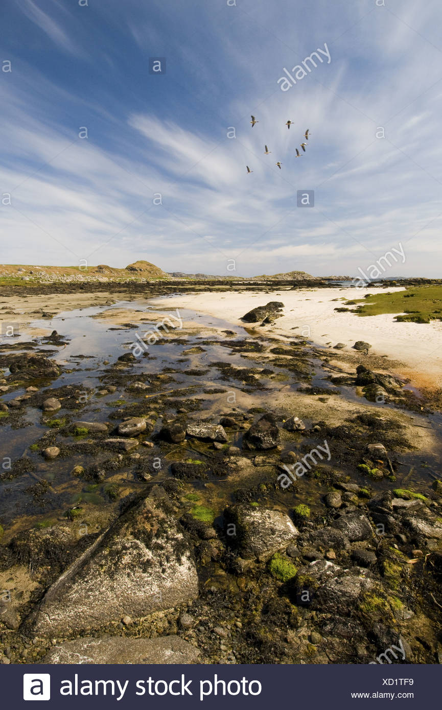 Fidden Isle Of Mull High Resolution Stock Photography and Images - Alamy
