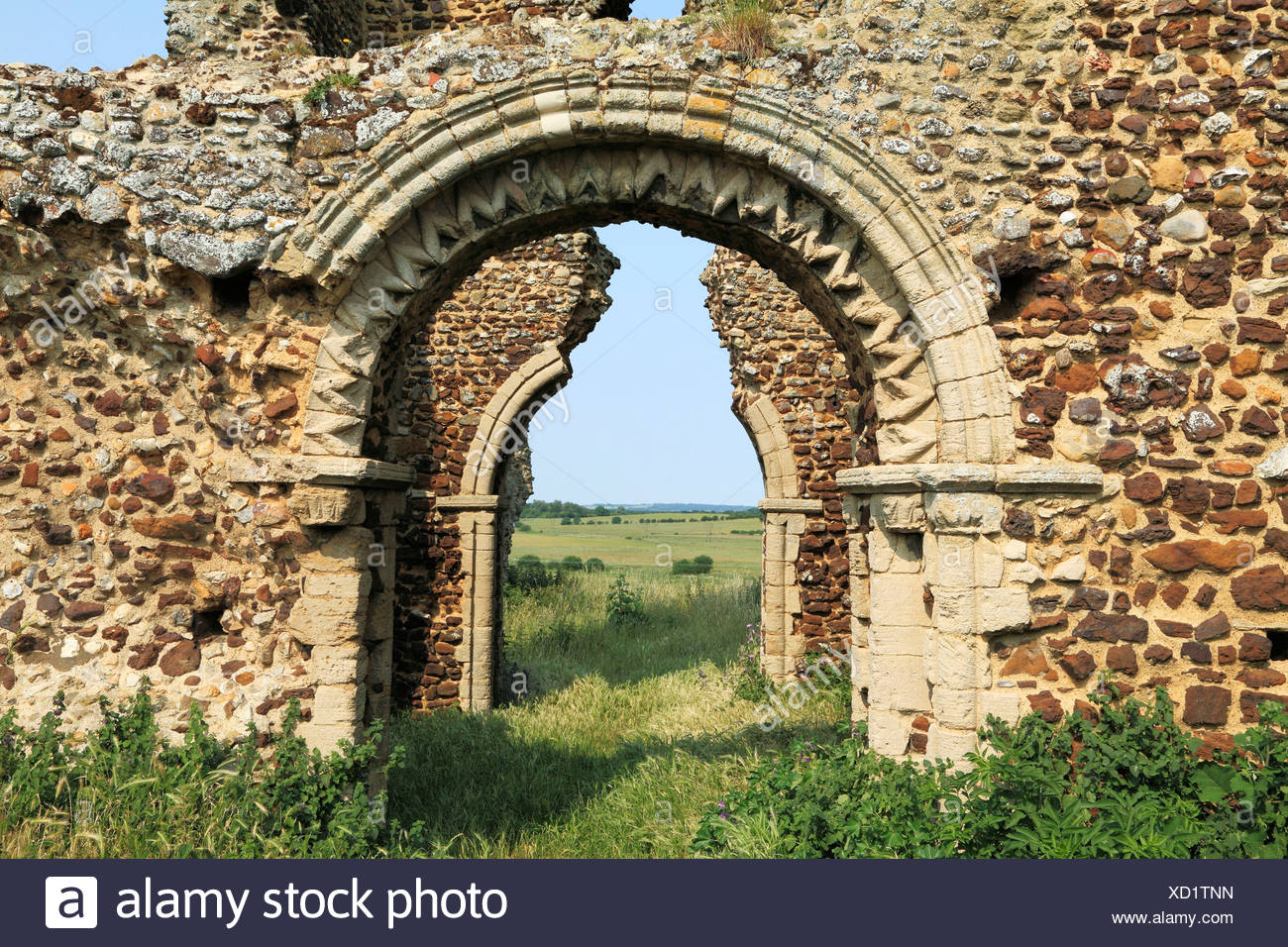 Dog Tooth Decoration High Resolution Stock Photography and Images - Alamy
