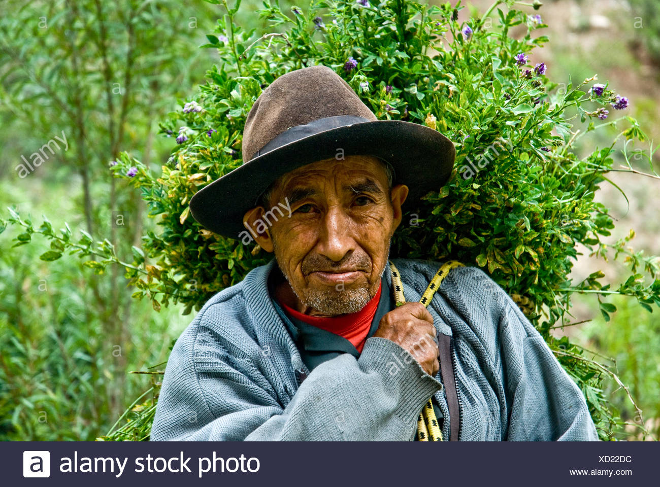 Indigenous People Argentina High Resolution Stock Photography and ...