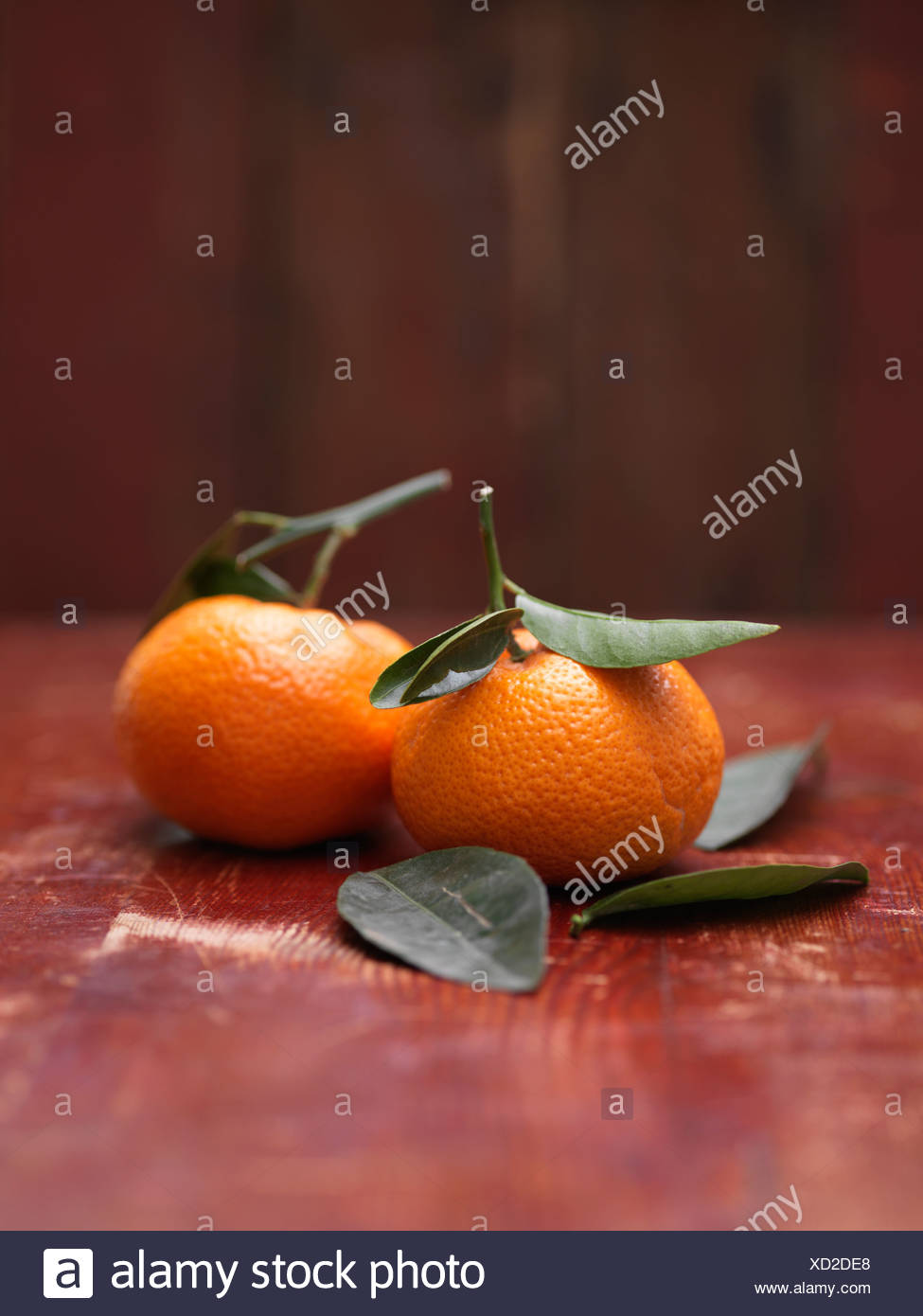 Satsuma With Leaves High Resolution Stock Photography and Images - Alamy