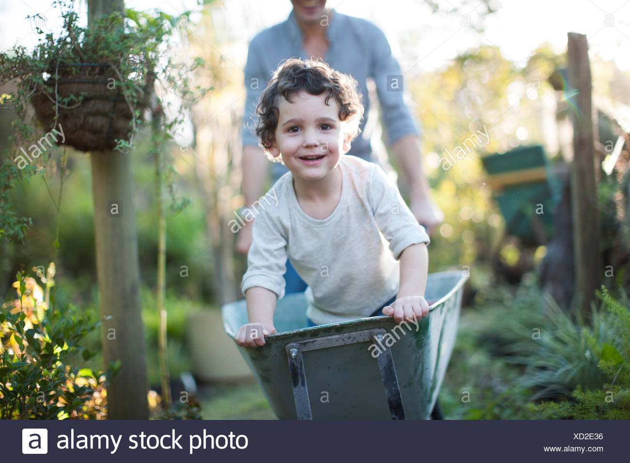 Allotment Wheelbarrow High Resolution Stock Photography and Images - Alamy
