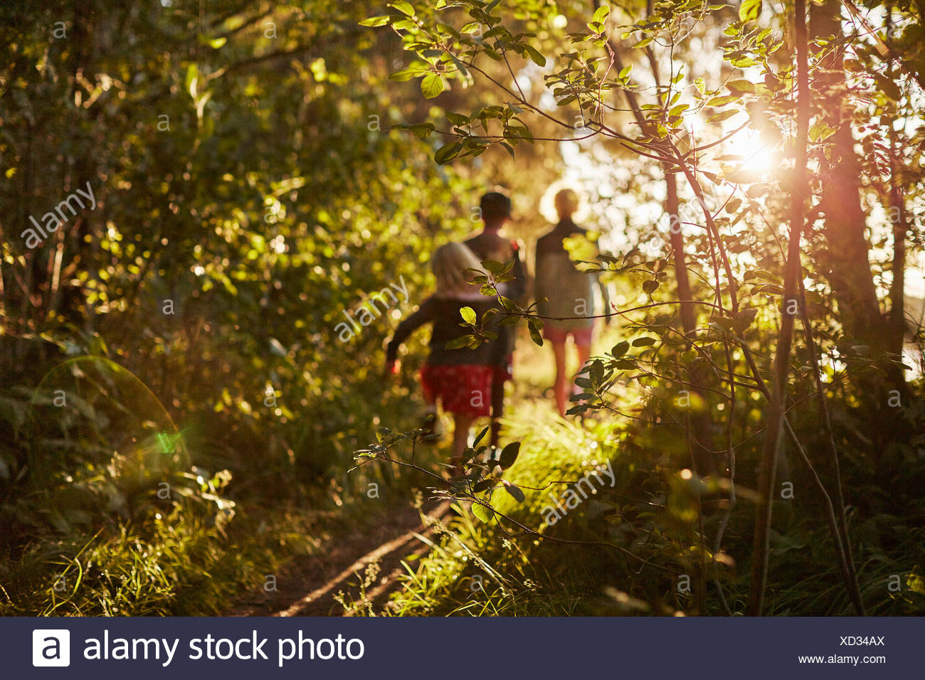 Walking By Trees High Resolution Stock Photography and Images - Alamy