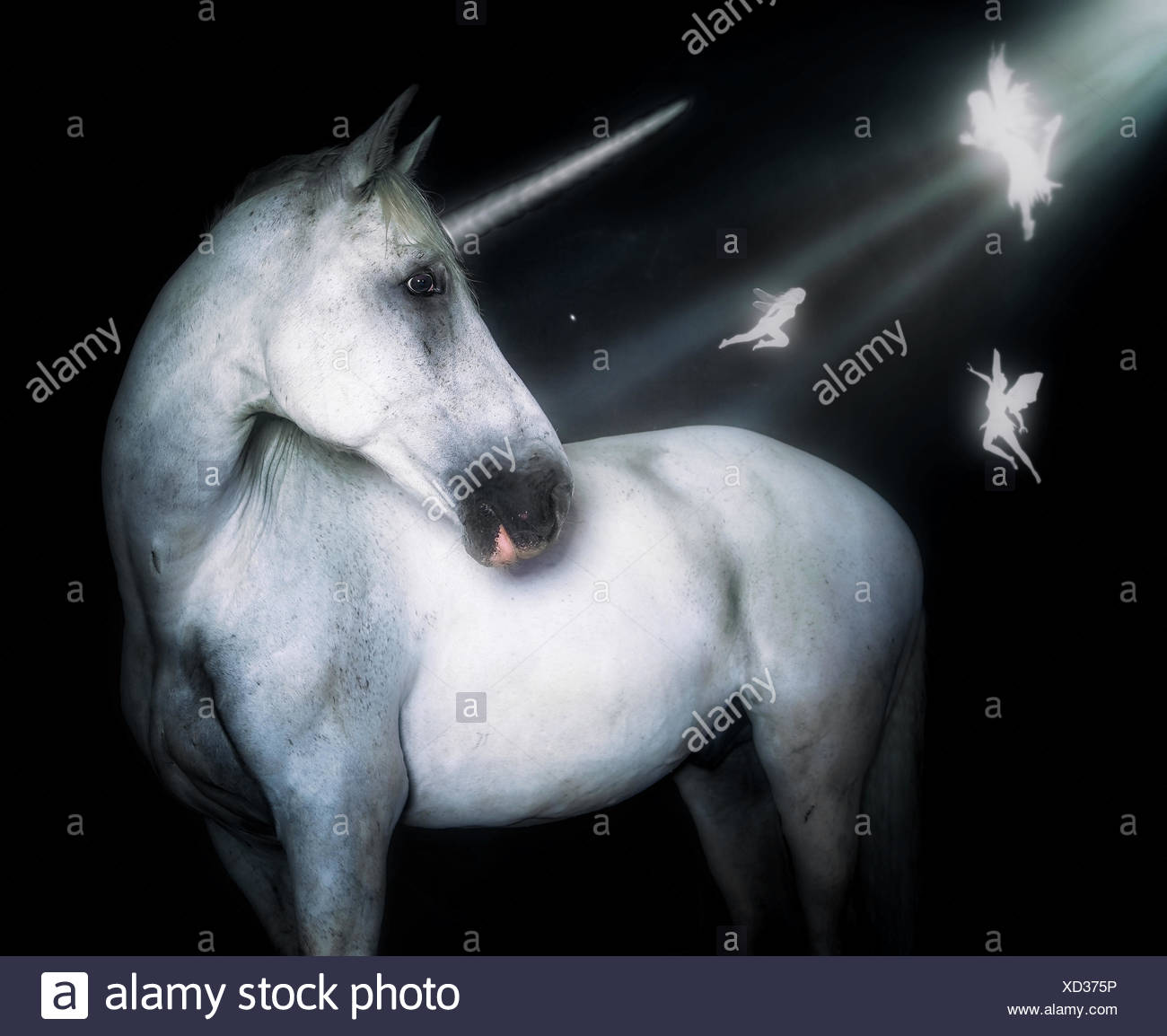 Unicorn Illustration High Resolution Stock Photography and Images - Alamy