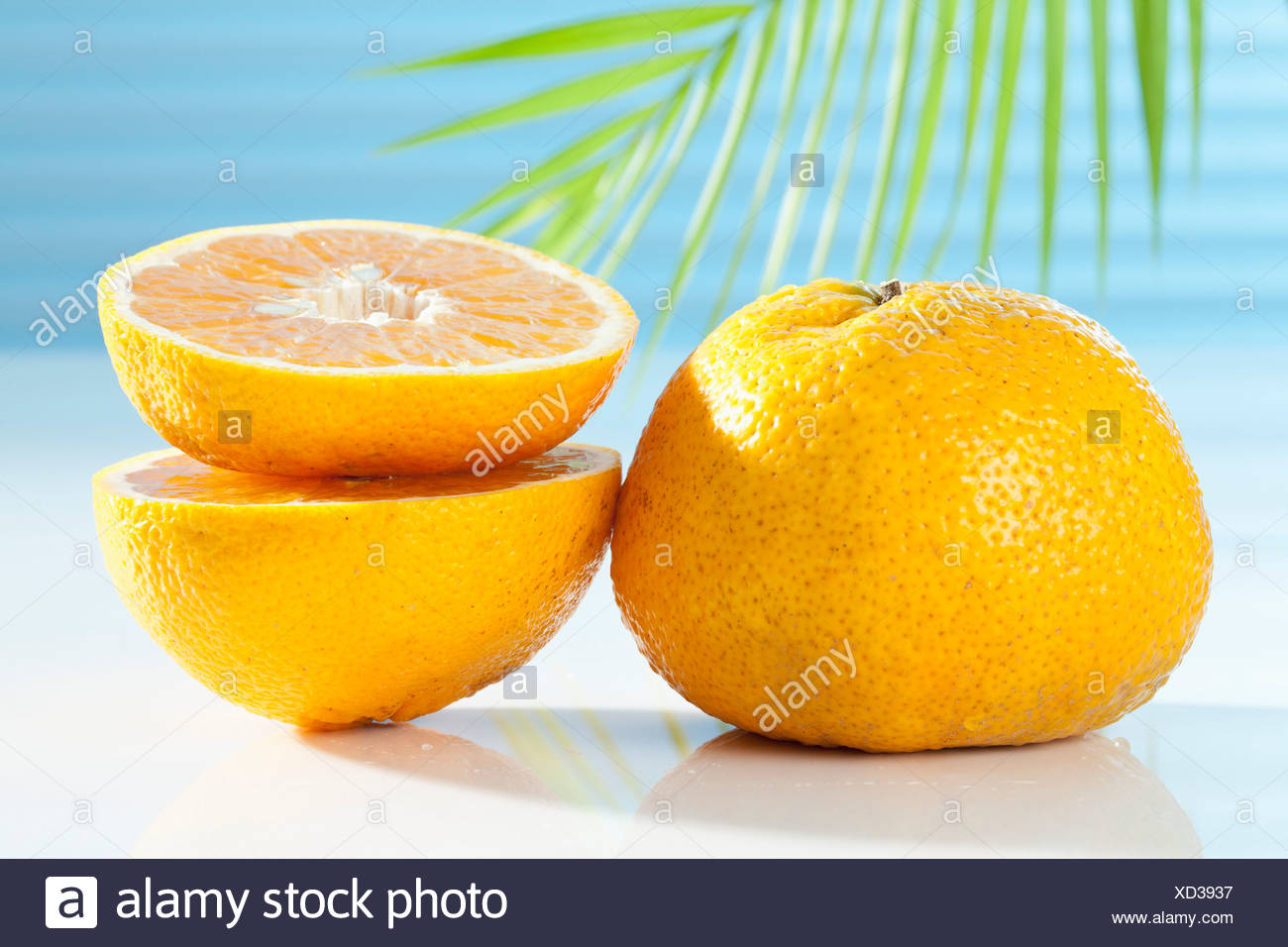 Ugli Fruit Stock Photos & Ugli Fruit Stock Images - Alamy